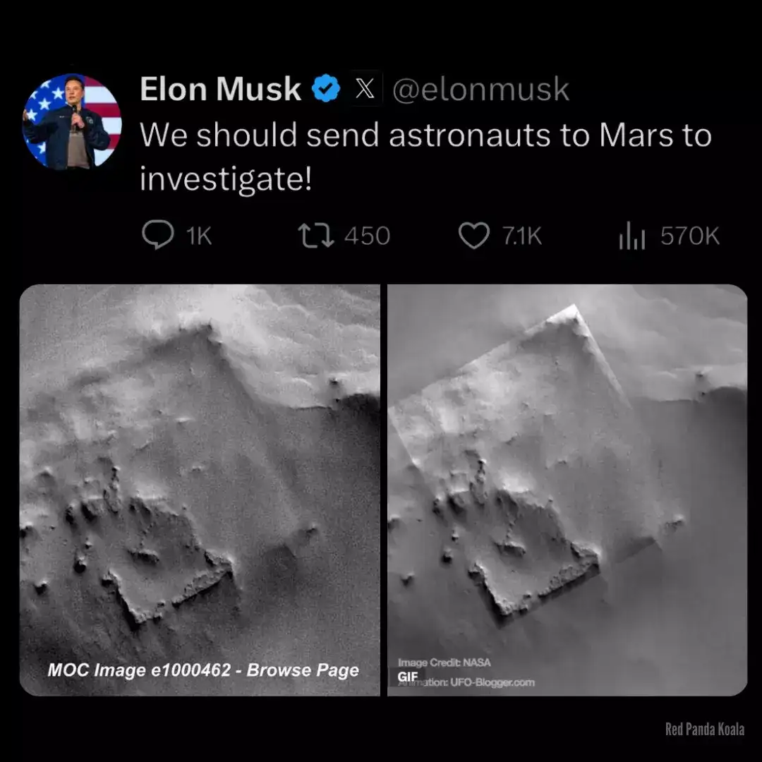 Elon Musk eyes 'mysterious square' on Mars, calls for 'investigation ...