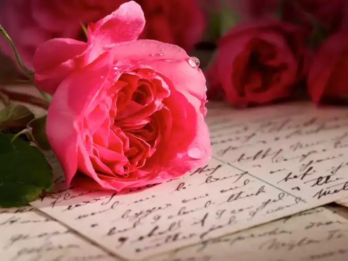Happy Rose Day images: Wishes, quotes, and messages you can send to ...