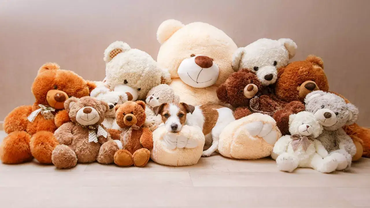 Teddy Day 2025: 50+ wishes, quotes, images, greetings and messages you ...