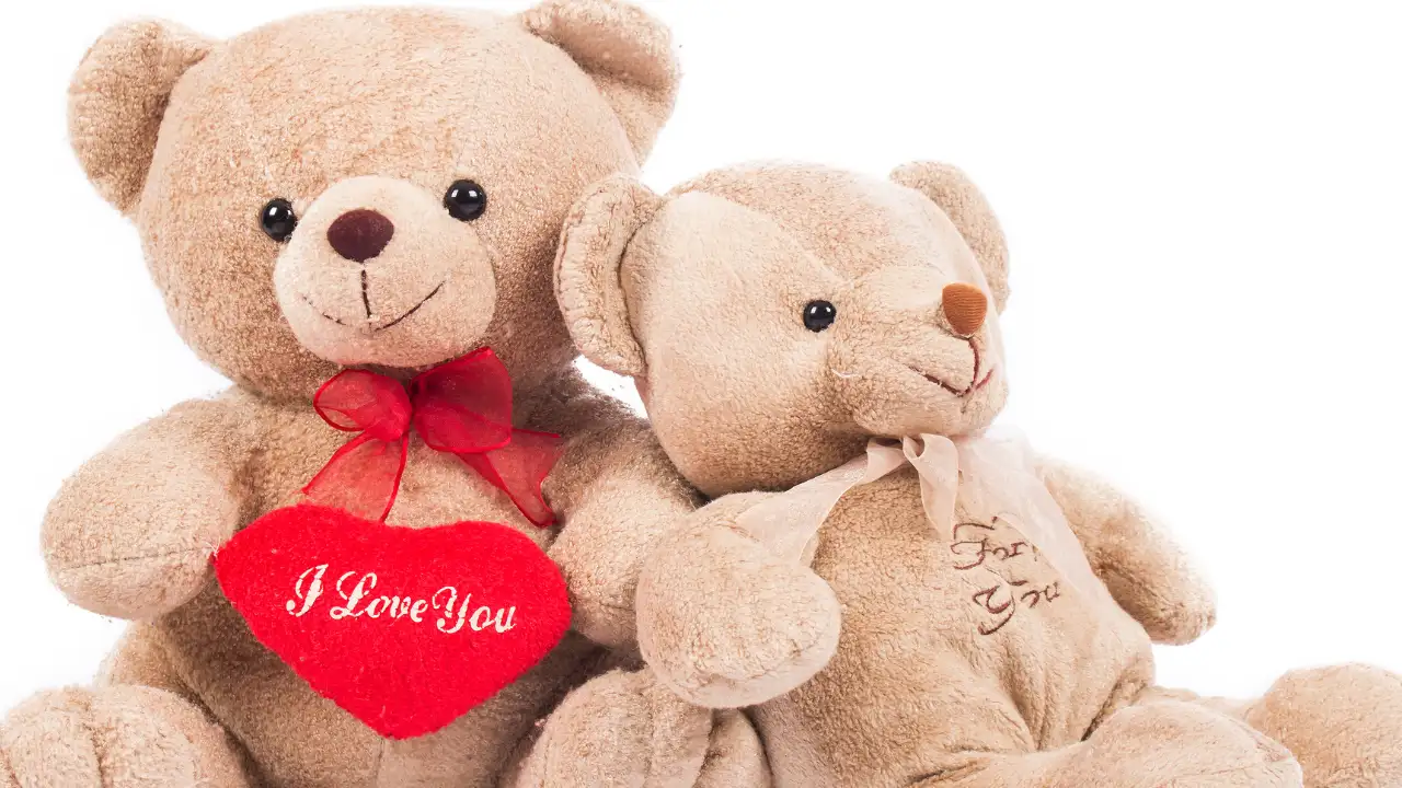 Teddy Day 2025: 50+ wishes, quotes, images, greetings and messages you ...