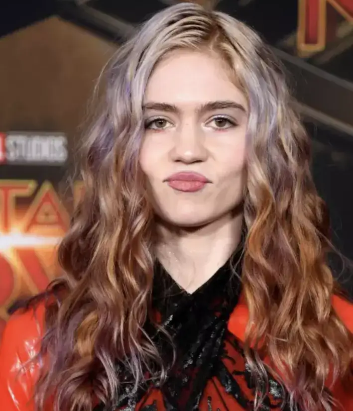 Elon Musk has enough baby mamas for a 'Chinese imperial drama ...