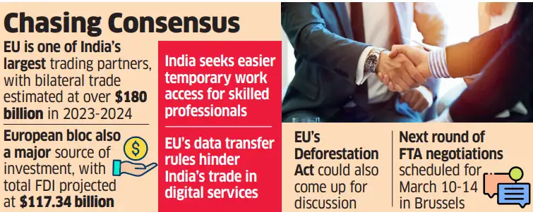 India-EU trade talks likely to focus on G7 diamond traceability, CBAM ...