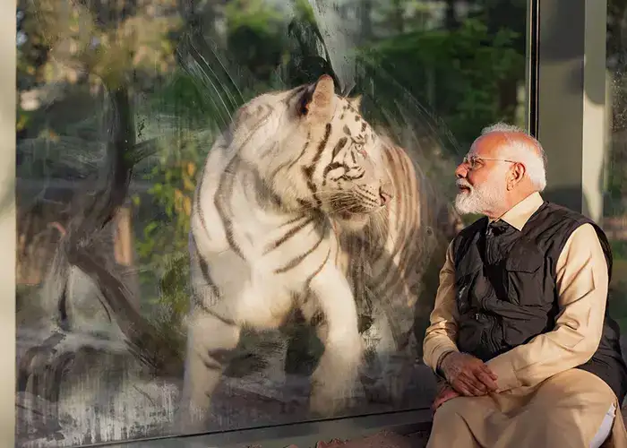 Unforgettable wildlife encounters of PM Modi at Anant Ambani’s Vantara ...