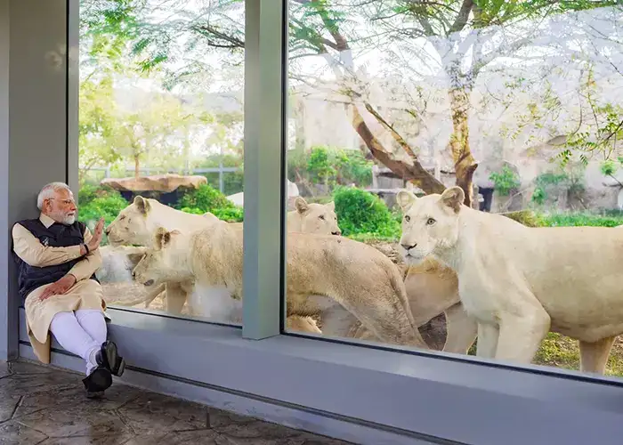 Unforgettable wildlife encounters of PM Modi at Anant Ambani’s Vantara ...