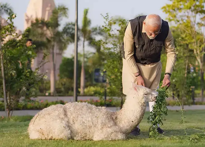 PM Modi’s remarkable visit to Anant Ambani’s Vantara: A sanctuary of ...