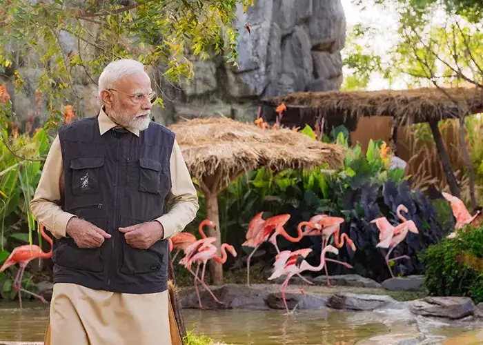 PM Narendra Modi praises wildlife conservation at Anant Ambani’s ...