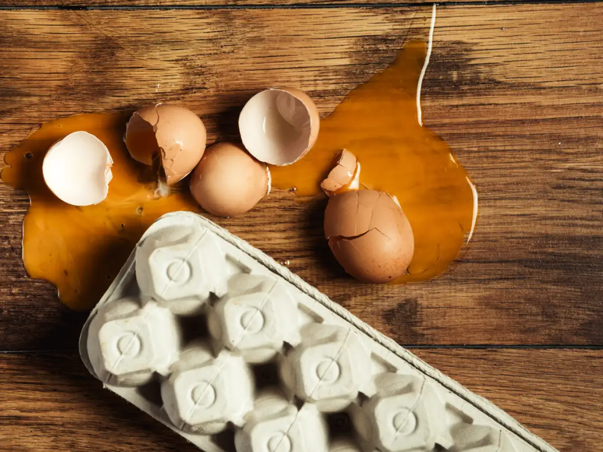 Eggs are now the new hottest smuggled item into the US, even more than ...