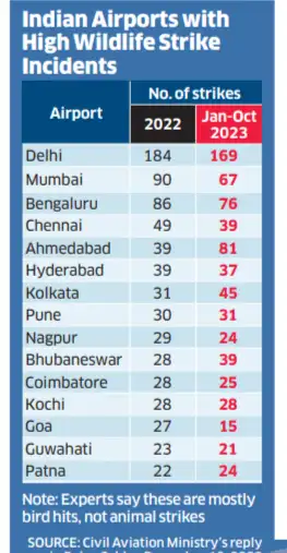 The Runway Beasts: When nilgais try to catch a flight - The Economic Times