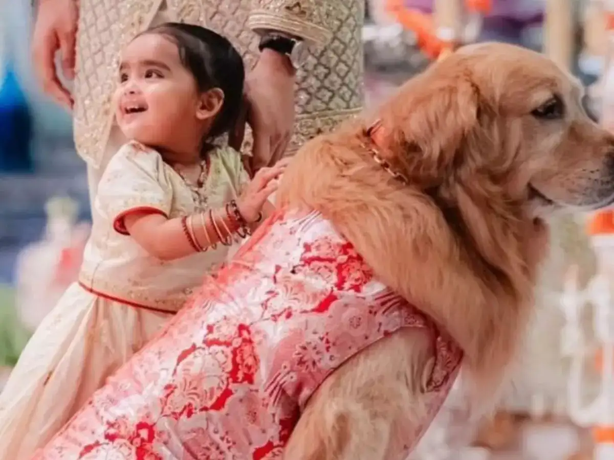 'Run free, sweet Happy': Ambani family pens emotional tribute as ...