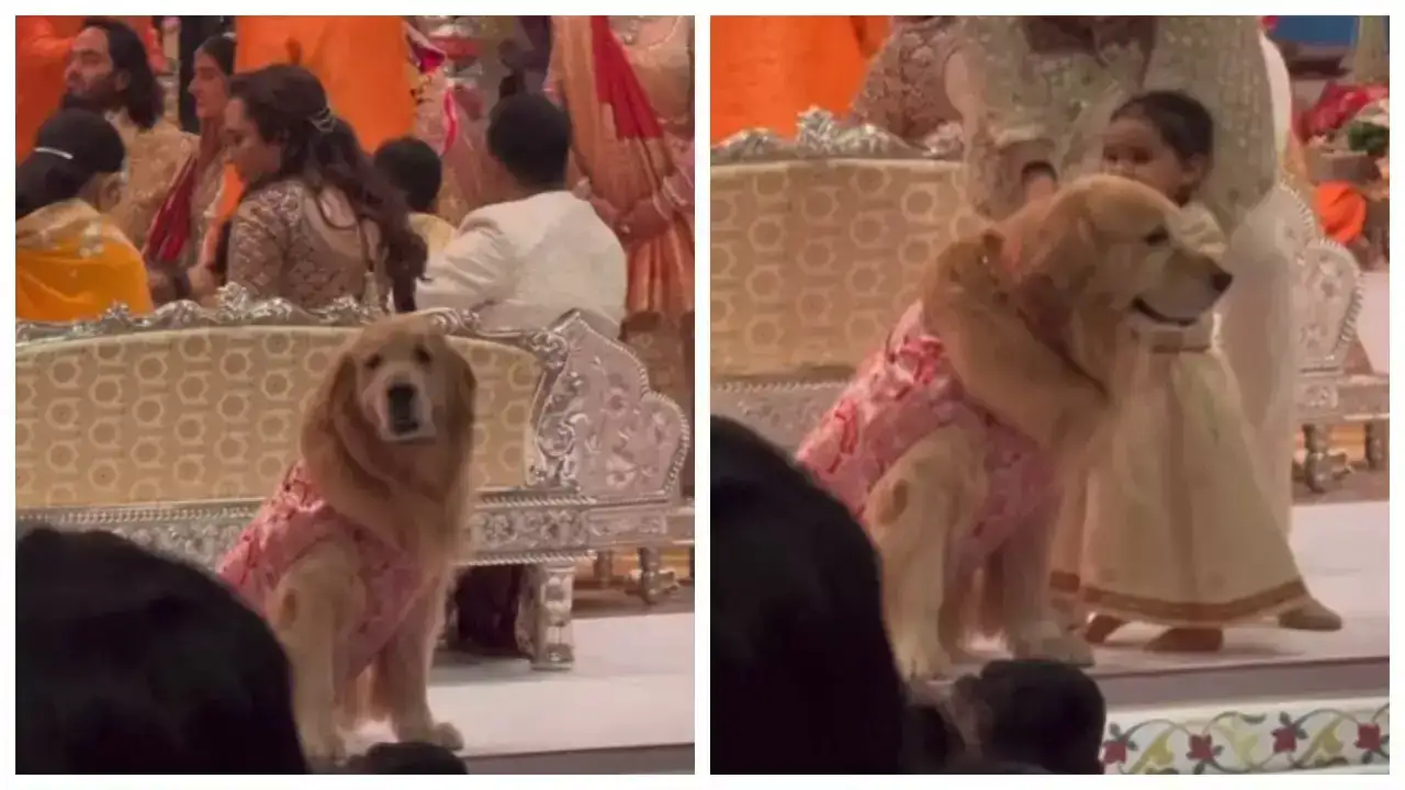Who was Happy Ambani? Meet the cutest Ambani family member & discover ...