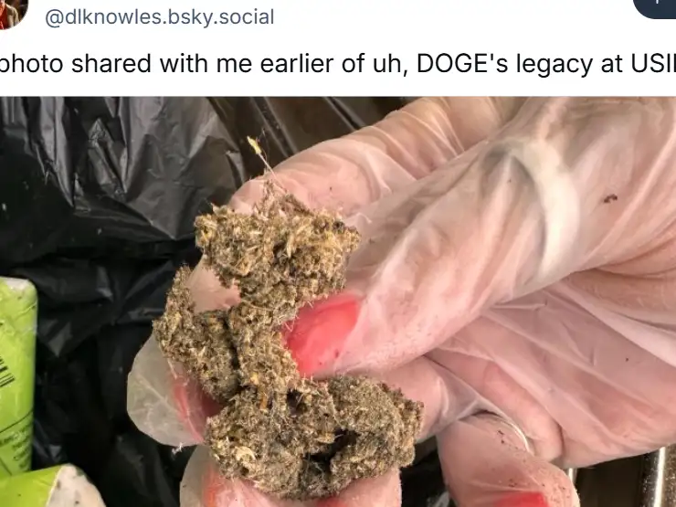 DOGE: Elon Musk's DOGE army left 'drugs, roaches and rats' in 'trashed ...