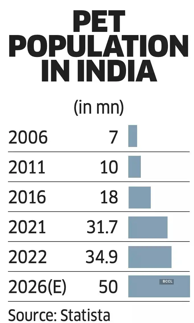 Fur-taxi and the Furious: How India’s pet cabs are rescuing the rides ...