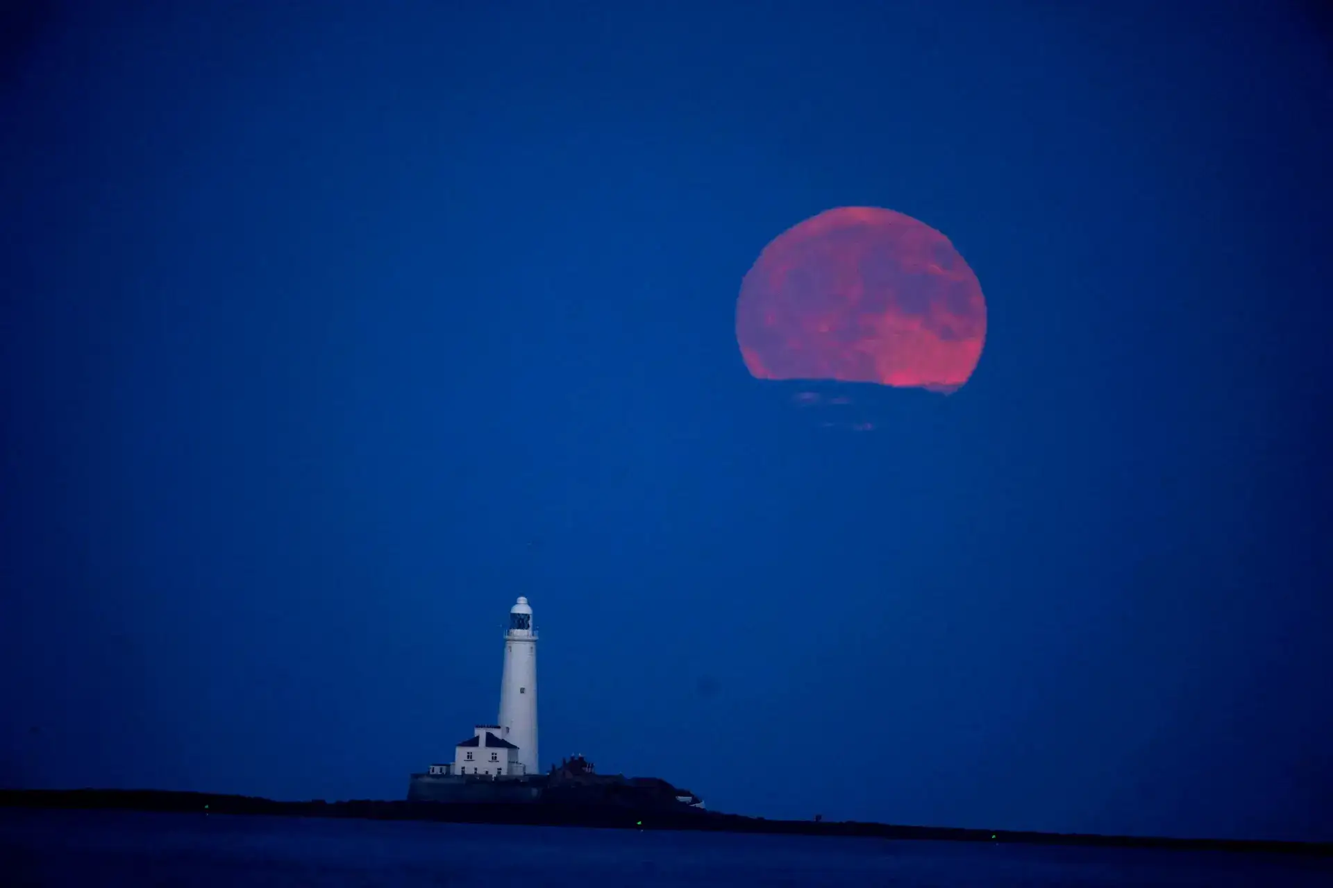 Strawberry Moon: Photos of extraordinary spectacle in the night sky - The Economic Times