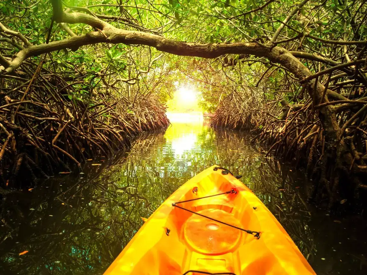 5 offbeat places in Goa to explore this monsoon season - The Economic Times