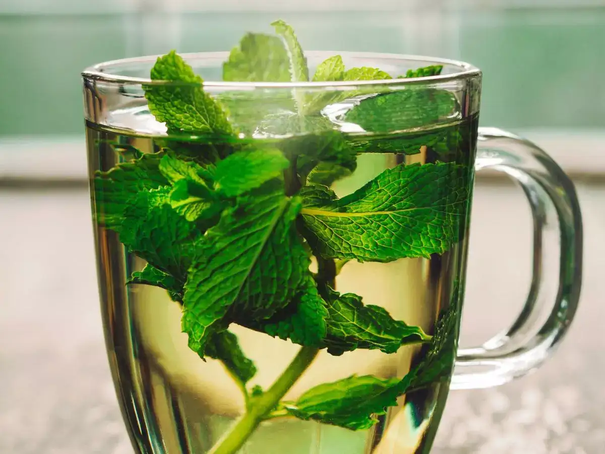Gut issues? 6 drinks recommended by Stanford doctor could be your cure ...