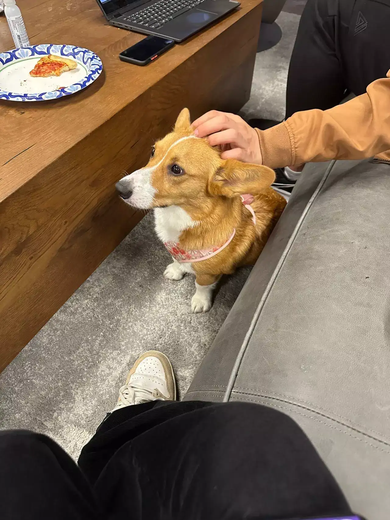 CEO breaks down ROI of $16,000 office-Corgi; techie says, ‘Now I know ...