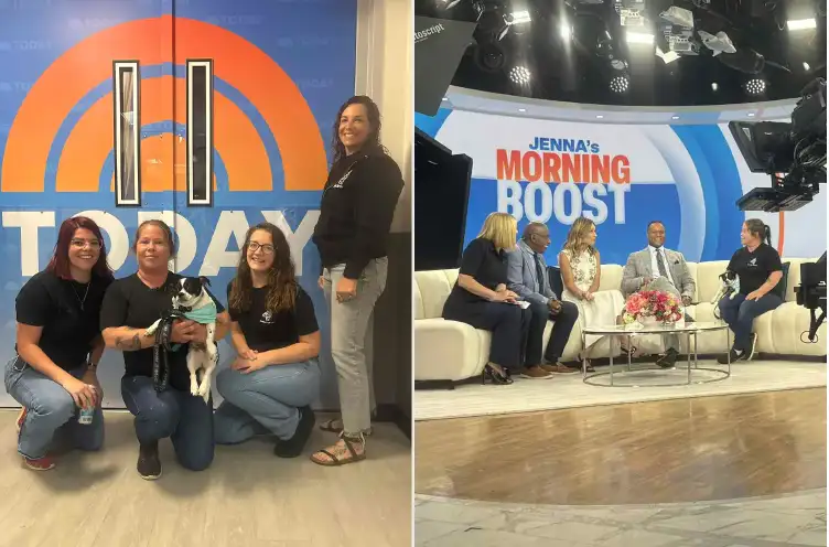 Rescue dog Igor goes viral after brutally honest adoption post calls ...