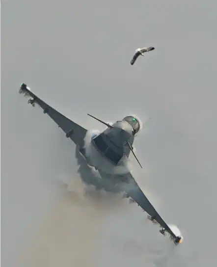Eurofighter Typhoon Bird Strike: Stunning images capture canopy ...