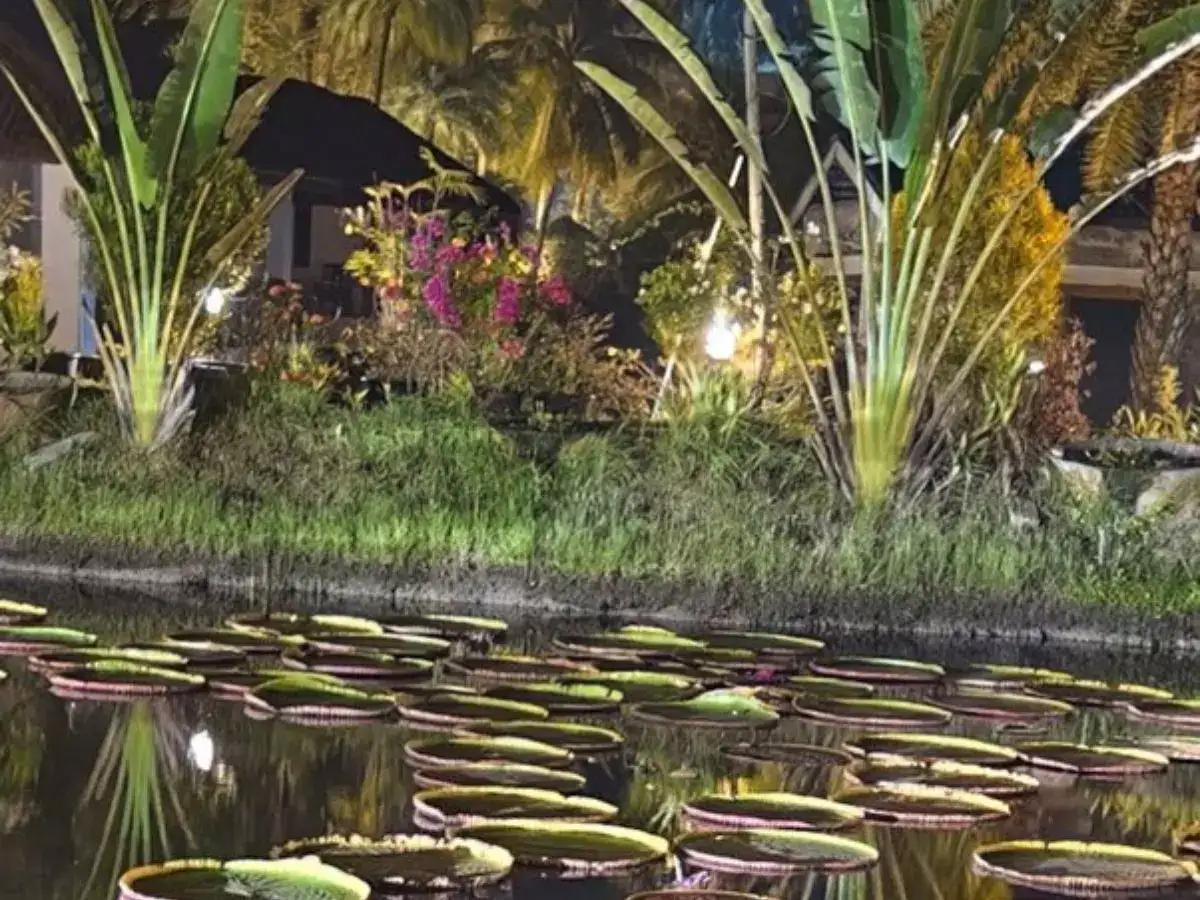 One of Anand Mahindra's favourite holiday destinations is just 8-hour ...