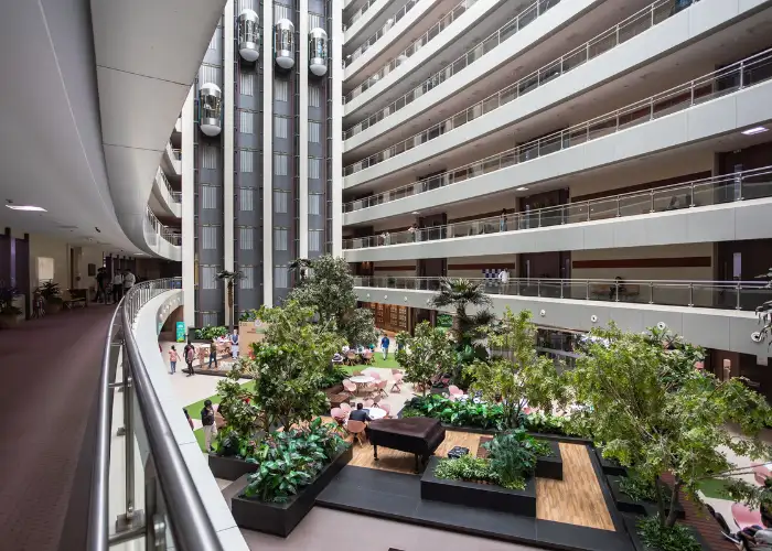 The 2025 MBA question: Career catalyst or costly detour? - The Economic ...