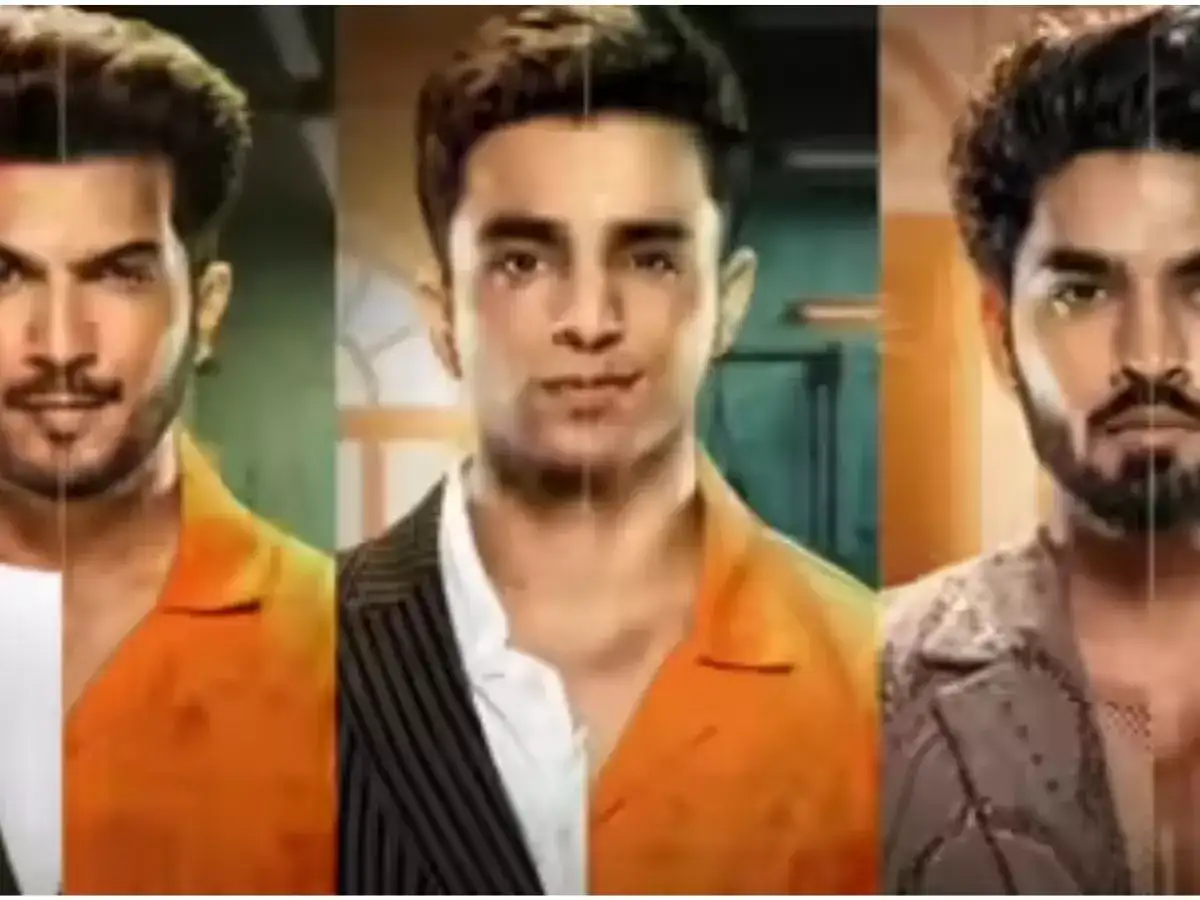 Rise and Fall winner leaked and is it really Arjun Bijlani? Check the ...