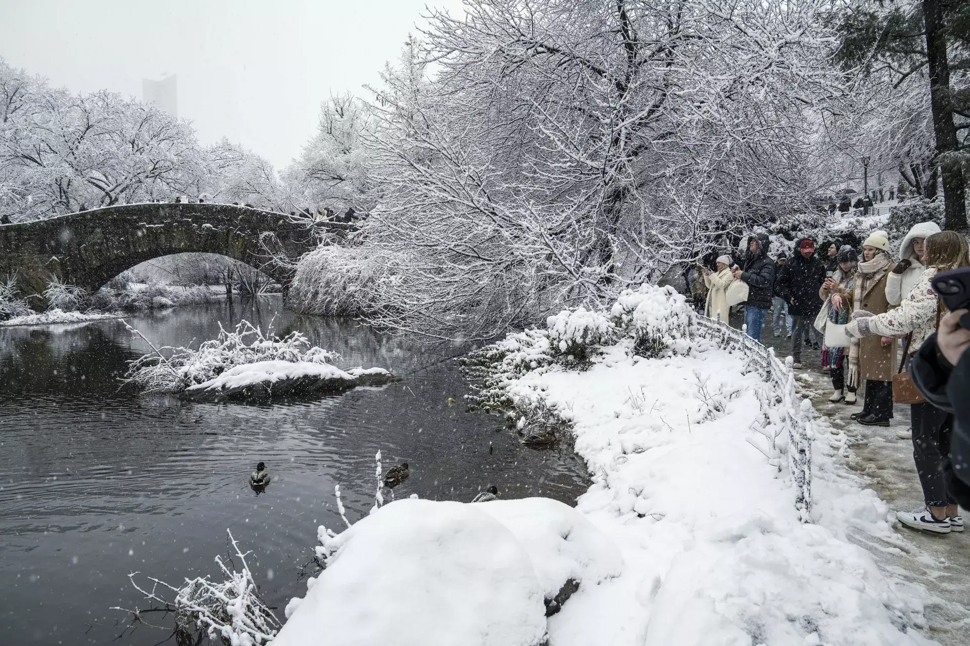Central Park looks straight out of 'Home Alone 2' as massive snowfall ...