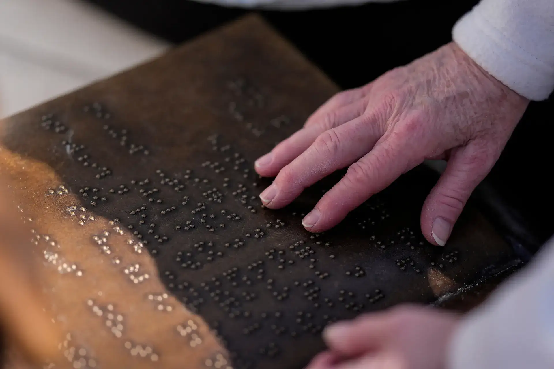 Quote of the day on World Braille Day: Louis Braille’ gift to the blind ...