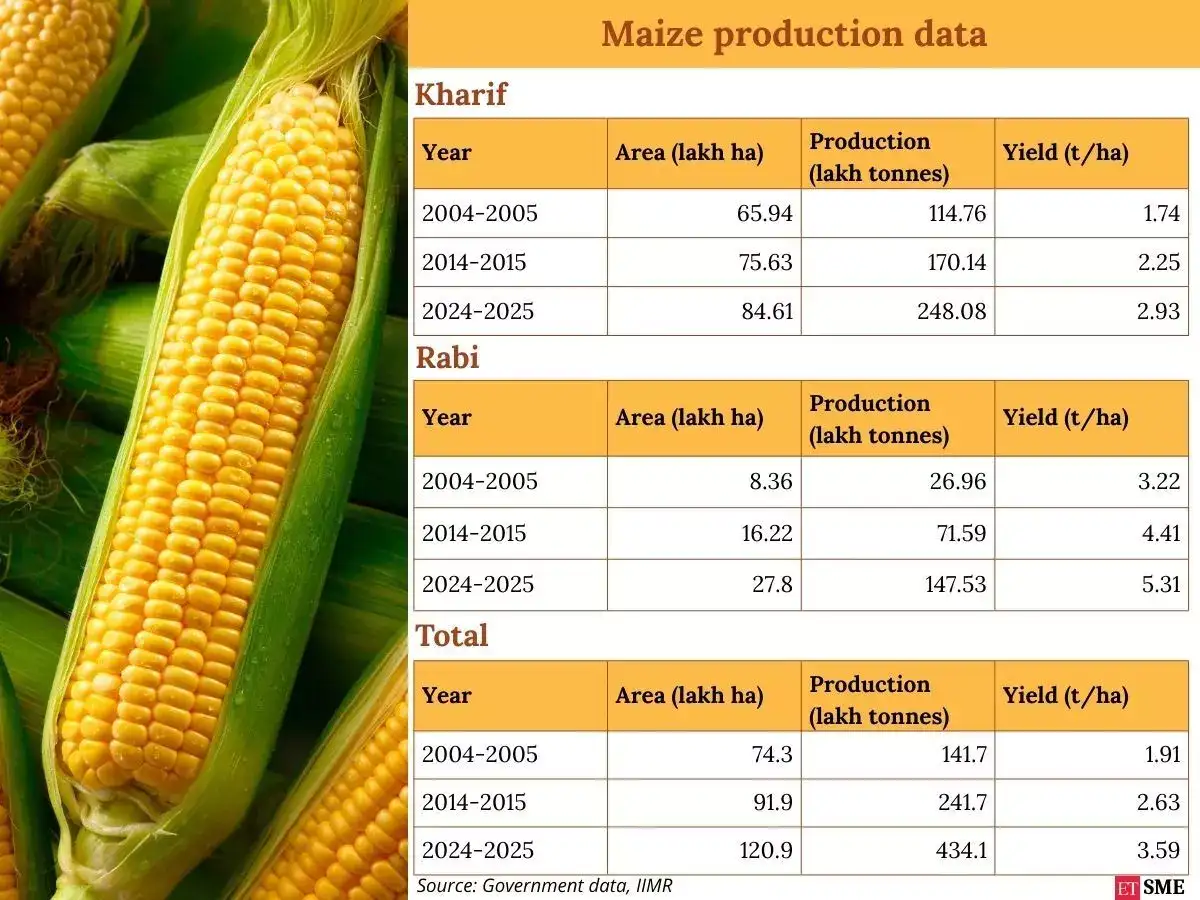 Why maize deserves centre stage in India’s agricultural roadmap - The ...
