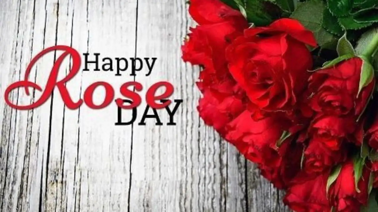 Happy Rose Day 2026 Images: Top 70 wishes, messages and quotes for your ...