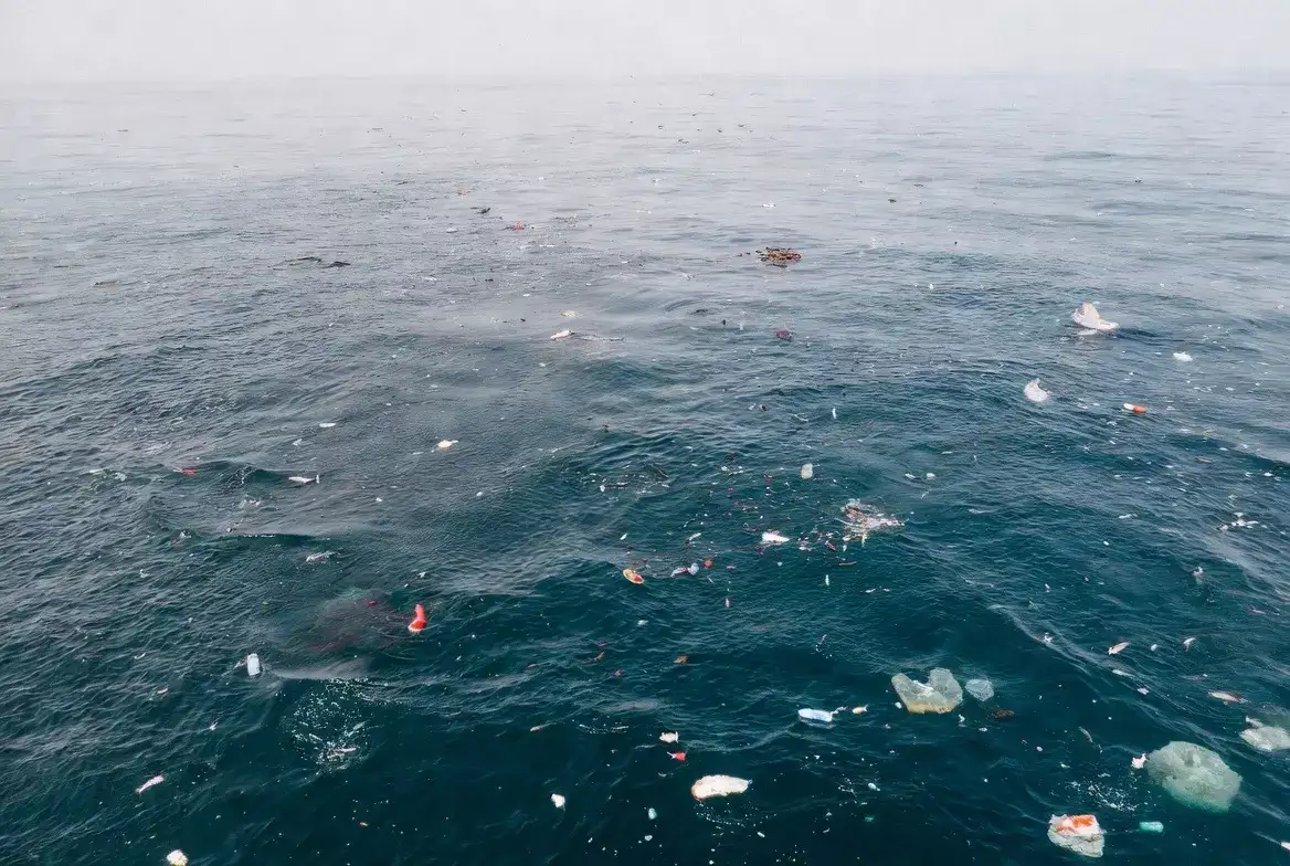 The Great Pacific Garbage Patch Isn’t Empty, It’s Becoming a Floating ...