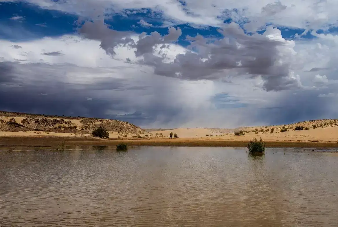 A Deluge for the Sahara: Satellites Tracked Extreme Rain Where It Feels ...