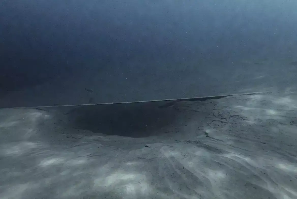 The Deep Sea Has “Brine Pools” That Can Kill Fish Instantly - The ...