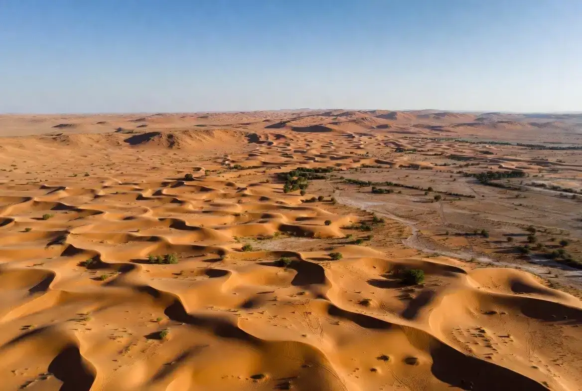 Why Parts of the Sahara Suddenly Turned Green: Here’s What Happened ...