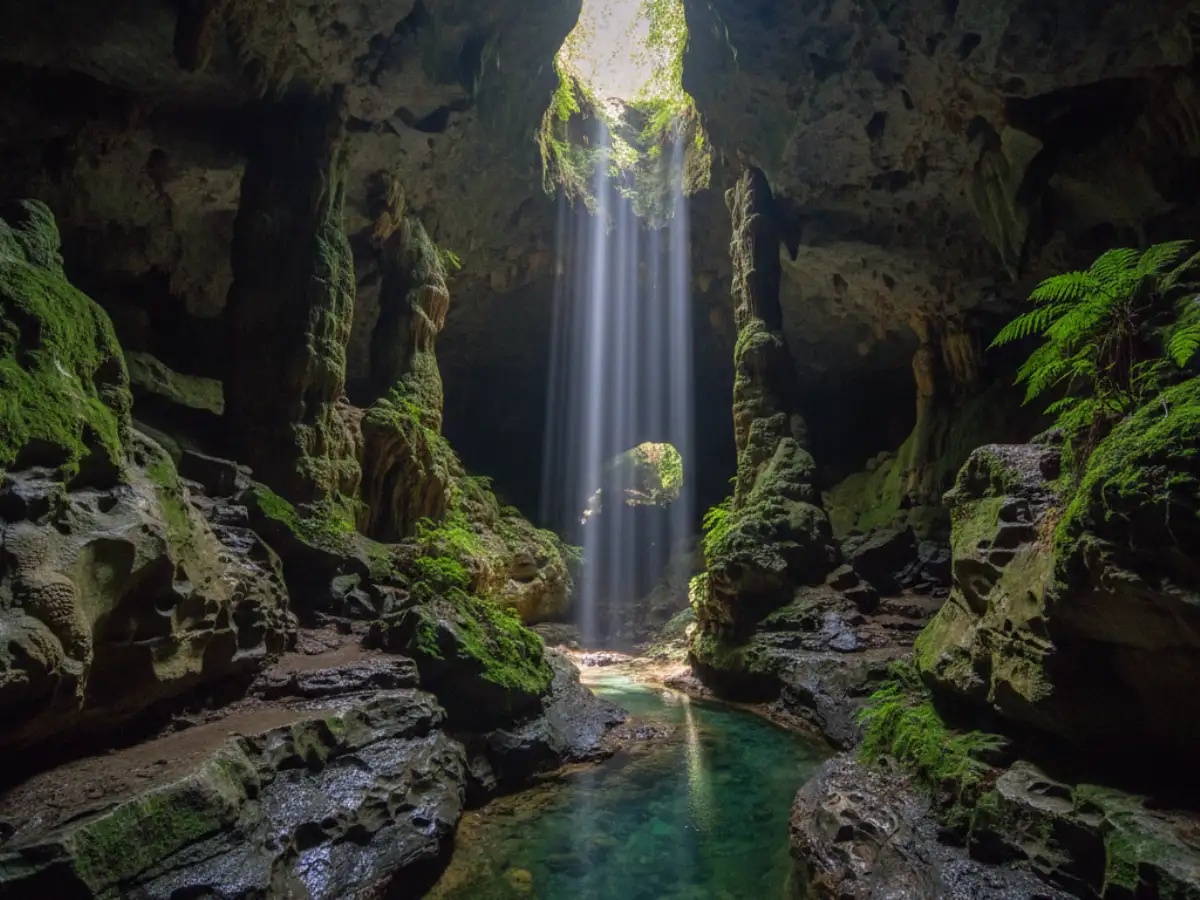 A Hidden Cave in New Zealand Is Rewriting Everything We Thought We Knew ...