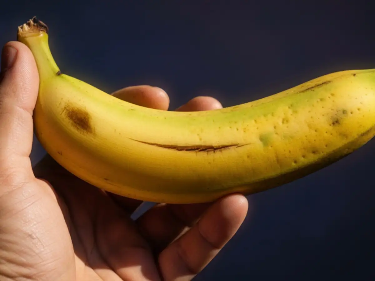 The Signs Your Banana Was Ripened Artificially - The Economic Times