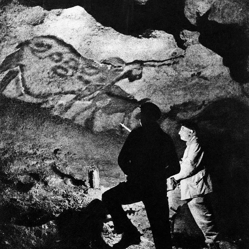 In 1940, a boy chased his dog into a tree hole and discovered a hidden ...