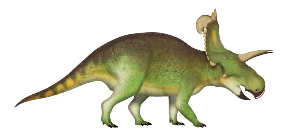 In 2024, a horned dinosaur skull with an extraordinary crown was found ...