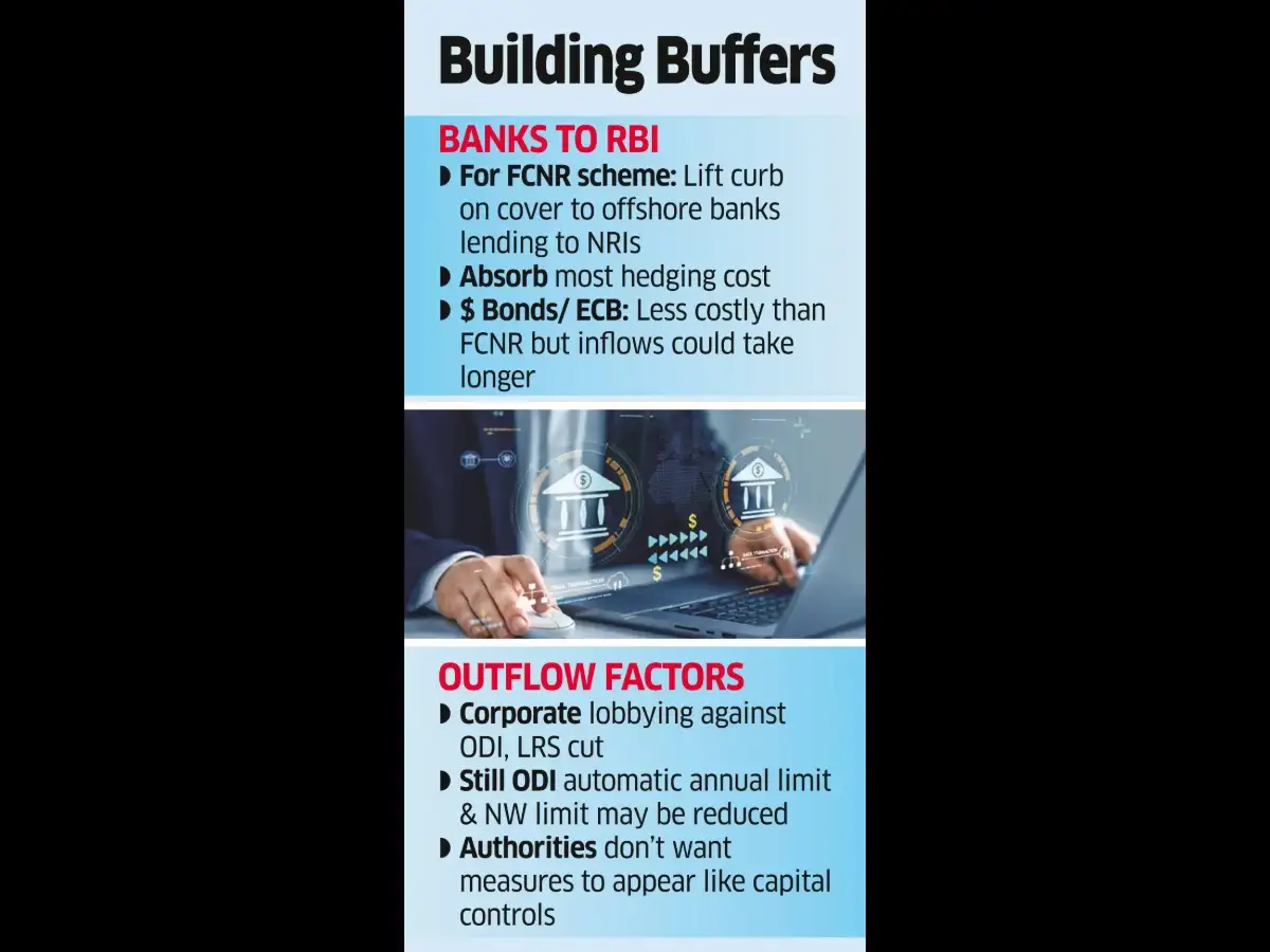 Banks seek easing of guarantee curbs to draw more NRI funds - The ...