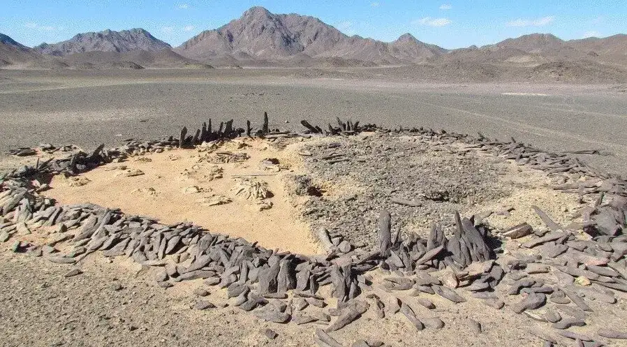 Hidden beneath the Sahara, satellite scans uncovered 260 circular mass ...