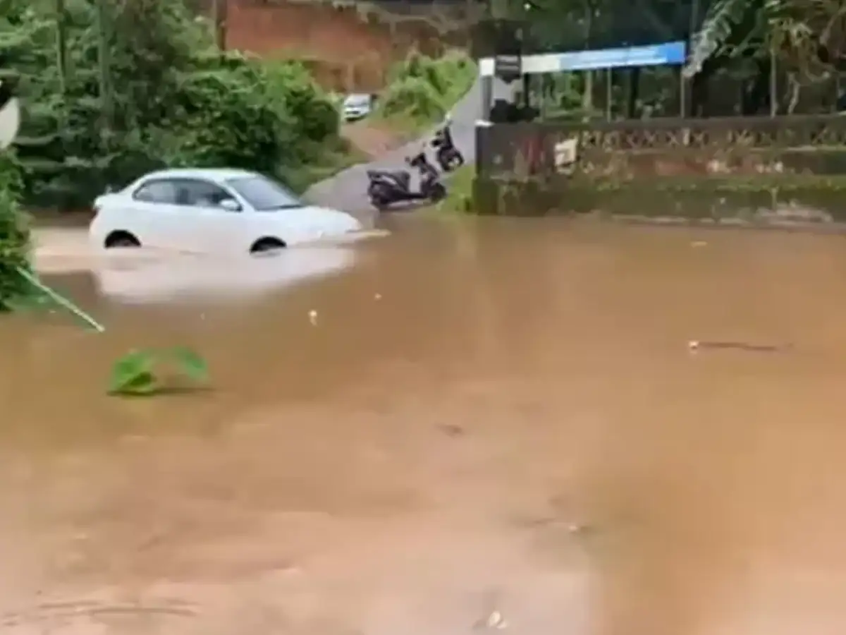 Heavy rains cause waterlogging, uprooting of trees in parts of Kerala ...