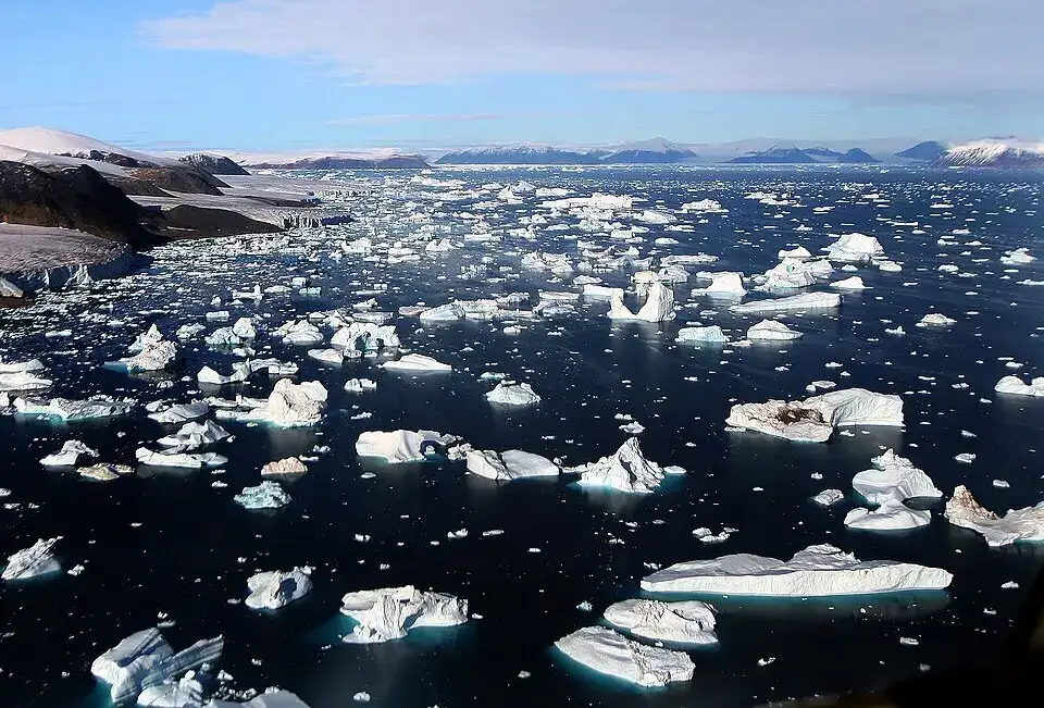 Melting icebergs are dropping rocks onto the Arctic seafloor, and those ...