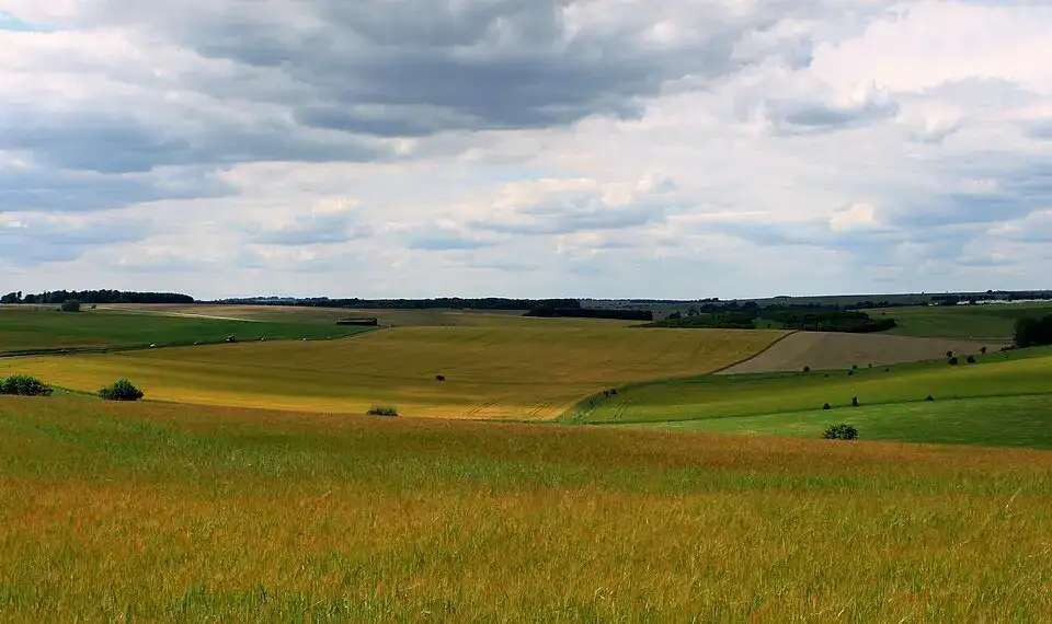 Britain's army fenced off Salisbury Plain from industrial farming; 143 ...