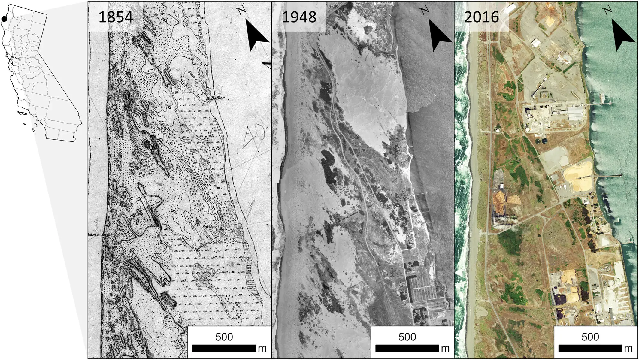 California has lost more than half of its coastal sand dunes, and the ...