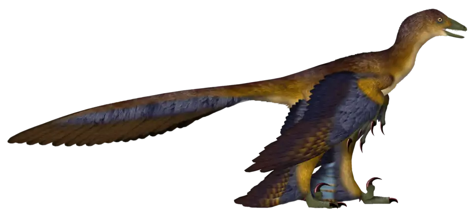 Four-winged dinosaur: Scientists just found a four-winged dinosaur in ...