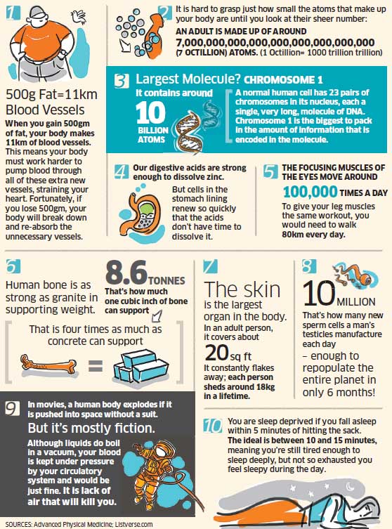 10 amazing facts about the human body - The Economic Times