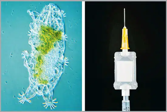 Velcro: 14 smart inventions inspired by nature - The Economic Times