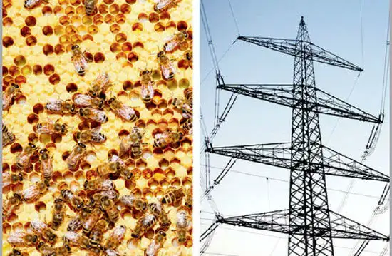 Velcro: 14 smart inventions inspired by nature - The Economic Times