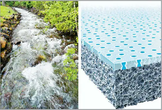 Velcro: 14 smart inventions inspired by nature - The Economic Times