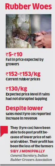Rubber prices fall sharply, growers fear the worst is yet to come - The ...