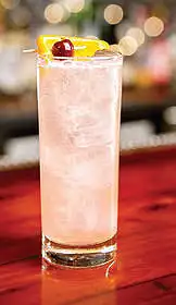 Raise a festive toast with these five cocktail recipes - The Economic Times